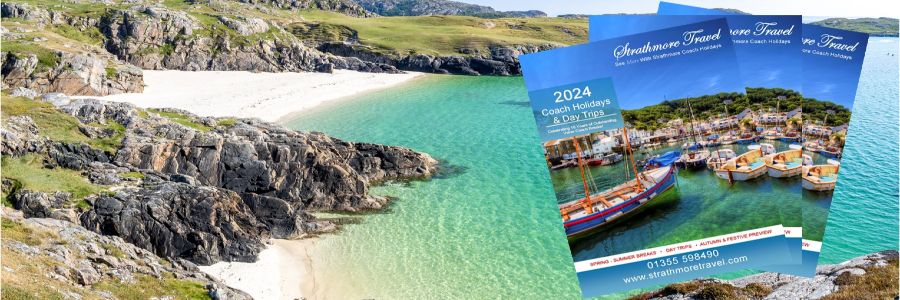 2024 BROCHURE OUT NOW!